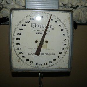 Hanson | Kitchen | Vintage Galvanized Hanson Dairy Scale Model 60 ...